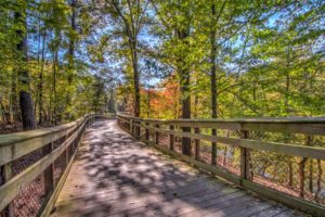 Neuse River Greenway Trail Images – Neuse River Trail