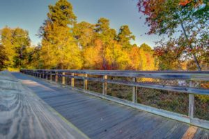 Neuse River Greenway Trail Images – Neuse River Trail