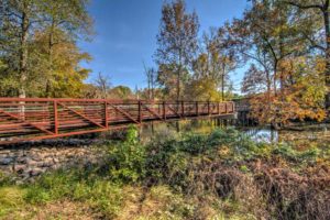 Neuse River Greenway Trail Images – Neuse River Trail