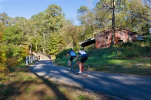 Neuse River Greenway Trail Images – Neuse River Trail